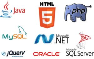SOFTWARE DE PROGRAMACION: FUNCION, TIPOS Y EJEMPLOS
